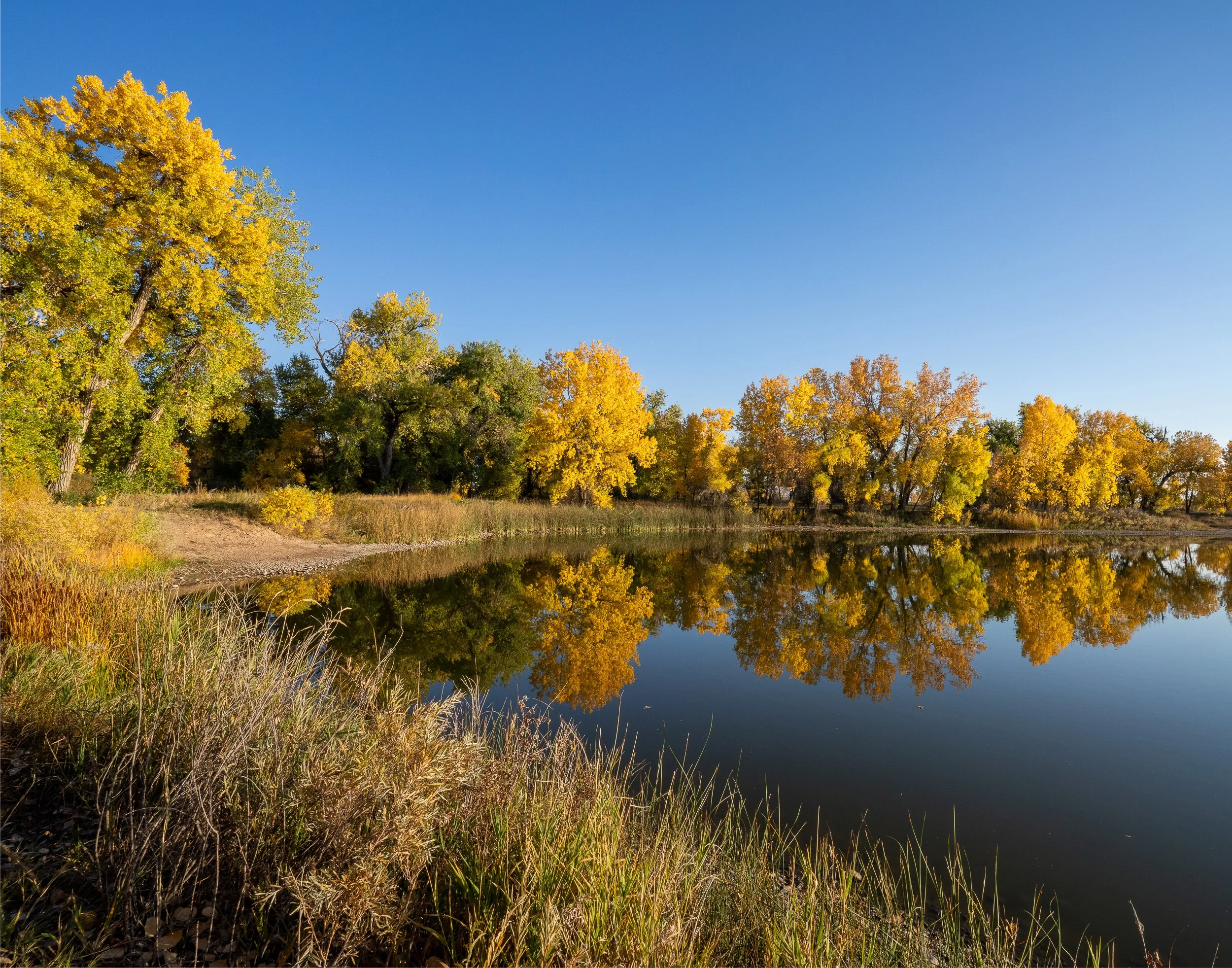 Winter Sunrise at Sprague Lake — The Cattail Chronicles