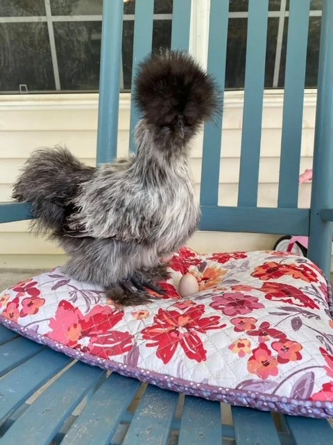 Services — Crazy Chic Heritage Farm, Ltd. Co.