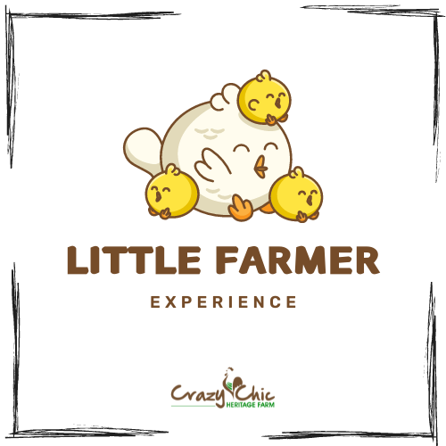 Crazy Chic Heritage Farm, Ltd. Co.