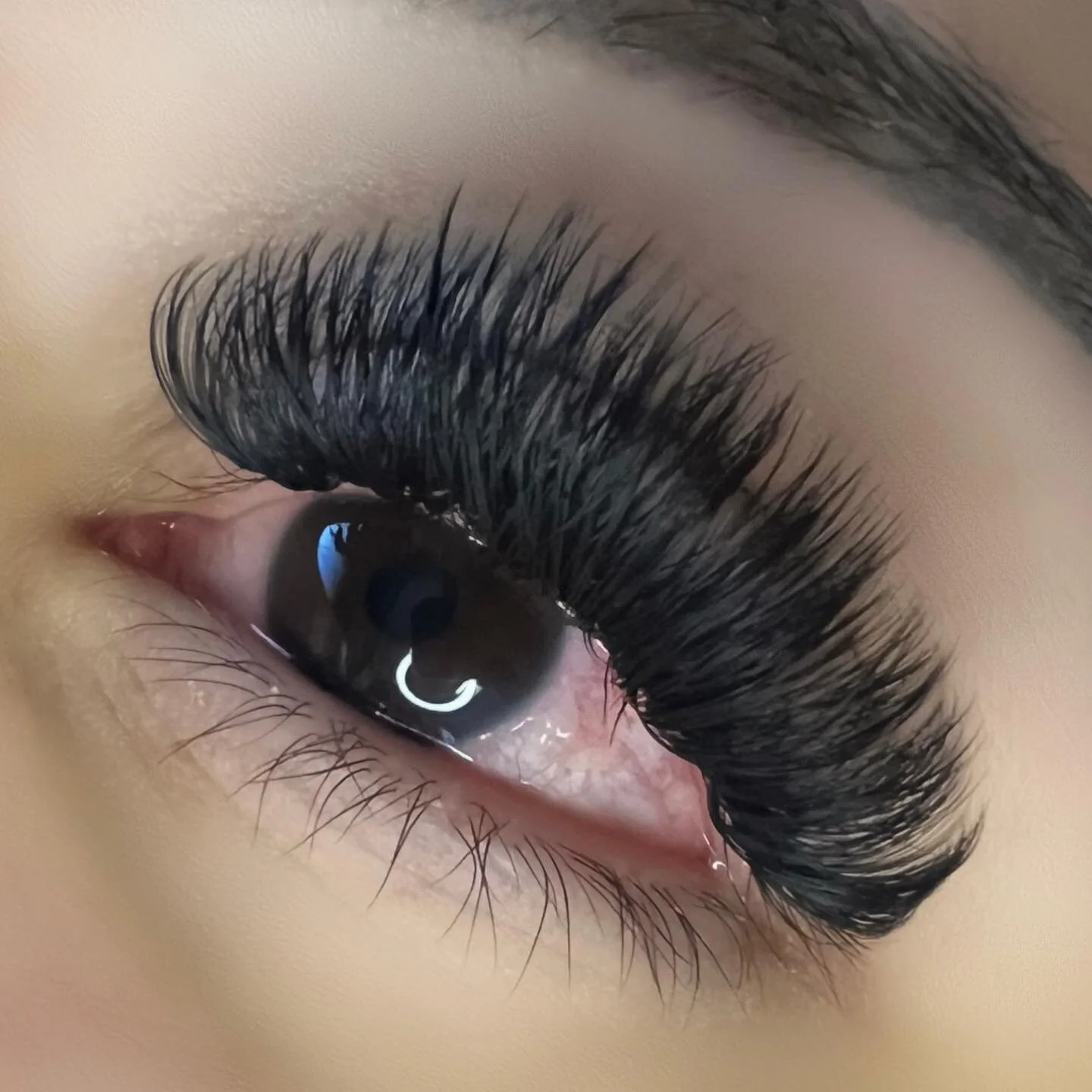 Lash Gallery — iVixen Beauty