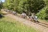 Tours | Rail Biking Tour in Traverse City, MI — Wheels on Rails