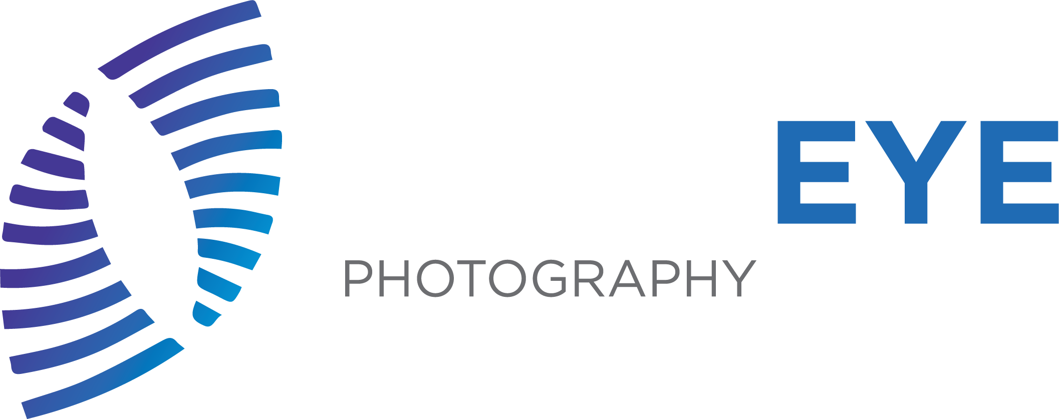 Sunshine Coast Wildlife Photography Tips, Ethical Shooting, Sharp ...