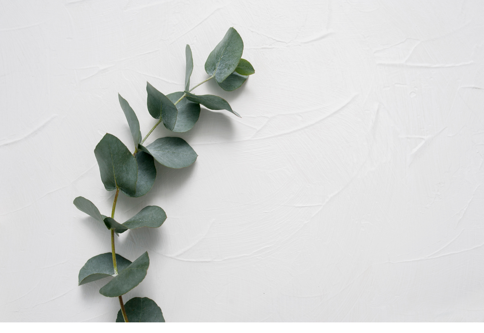 Home - Katrina Browne - Naturopath