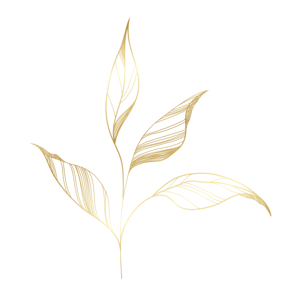 Consultations — Katrina Browne - Naturopath