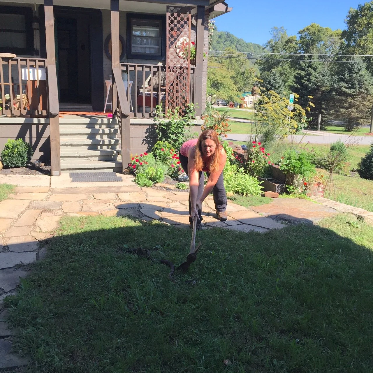 What is the craziest question you have ever been asked? — Sager Mosaics ...