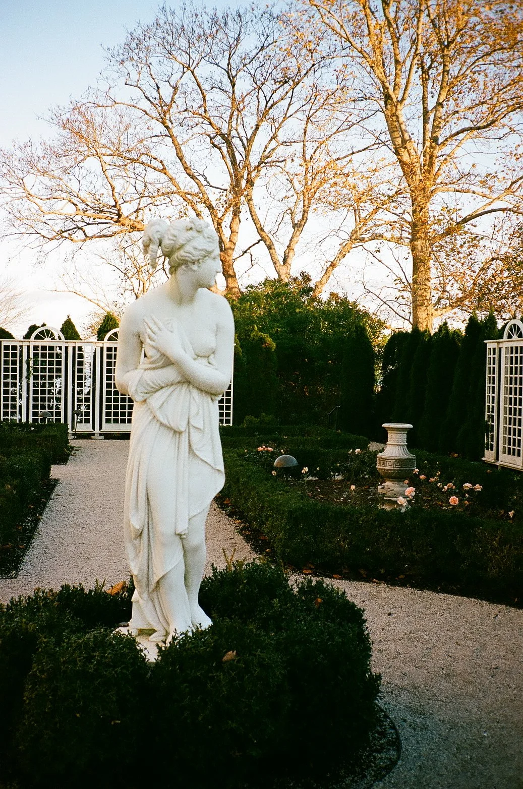 35mm Film Photography — Josie Brooks - Florida Luxury Wedding Photographer
