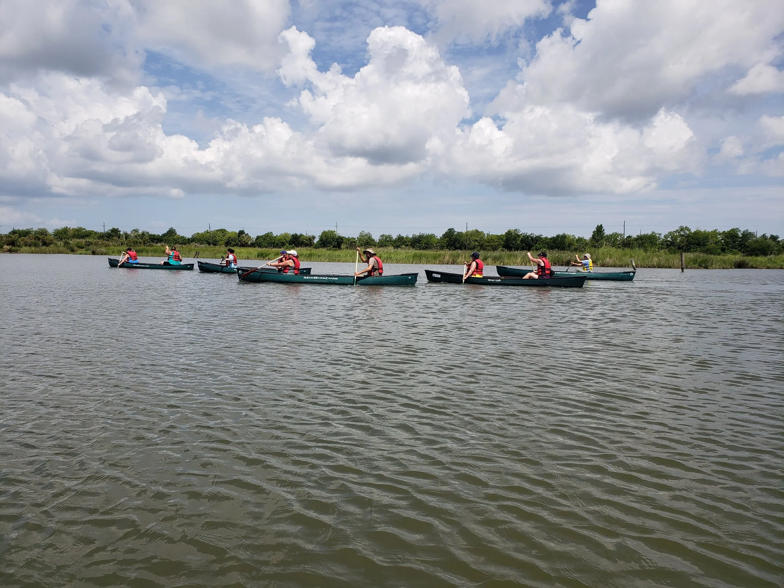 Environment — Meraux Foundation