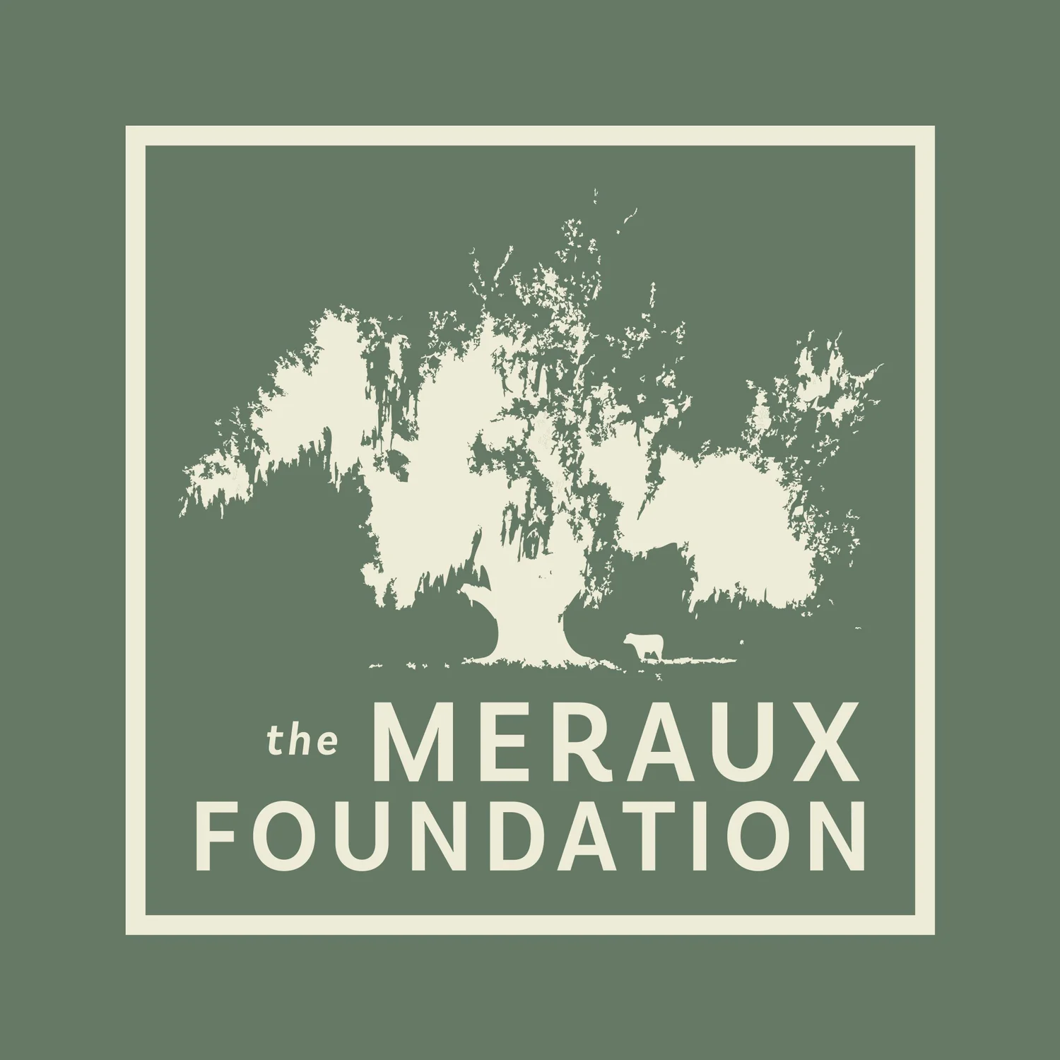 Publicity and Logo — Meraux Foundation