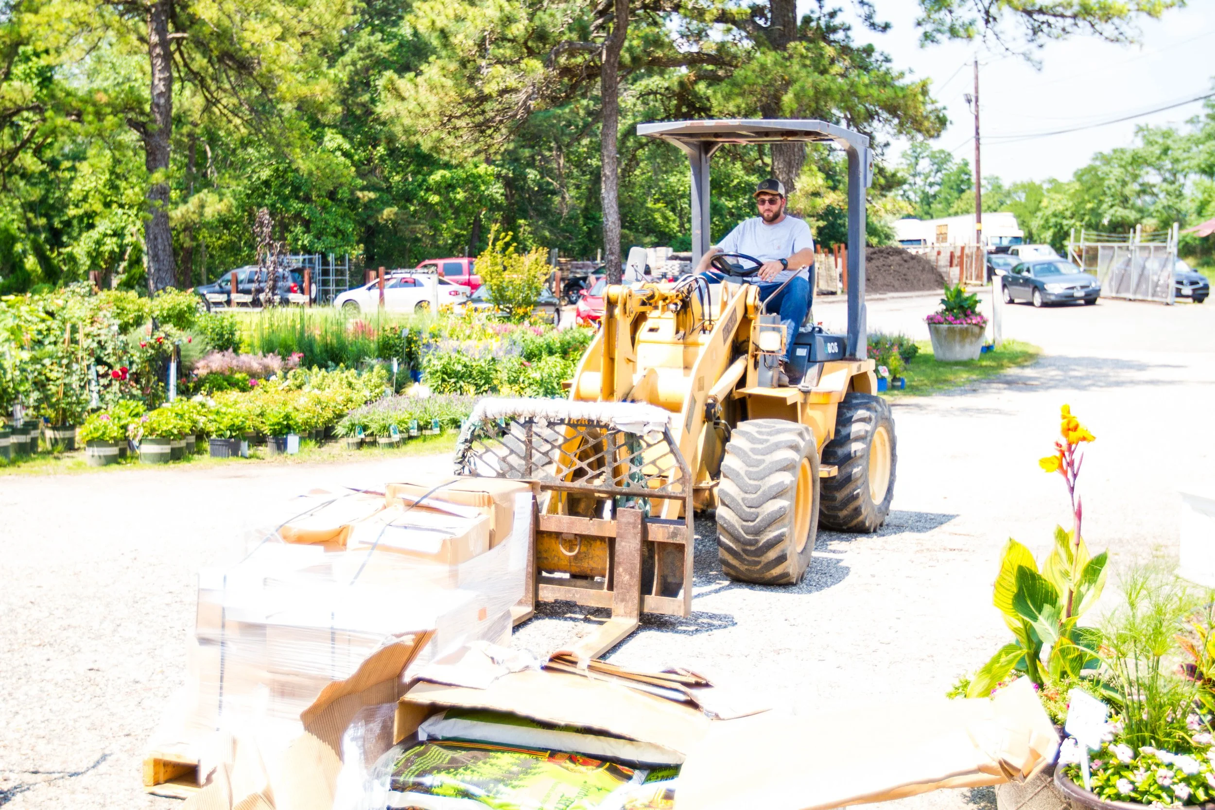 SAM'S B.C. NURSERIES
