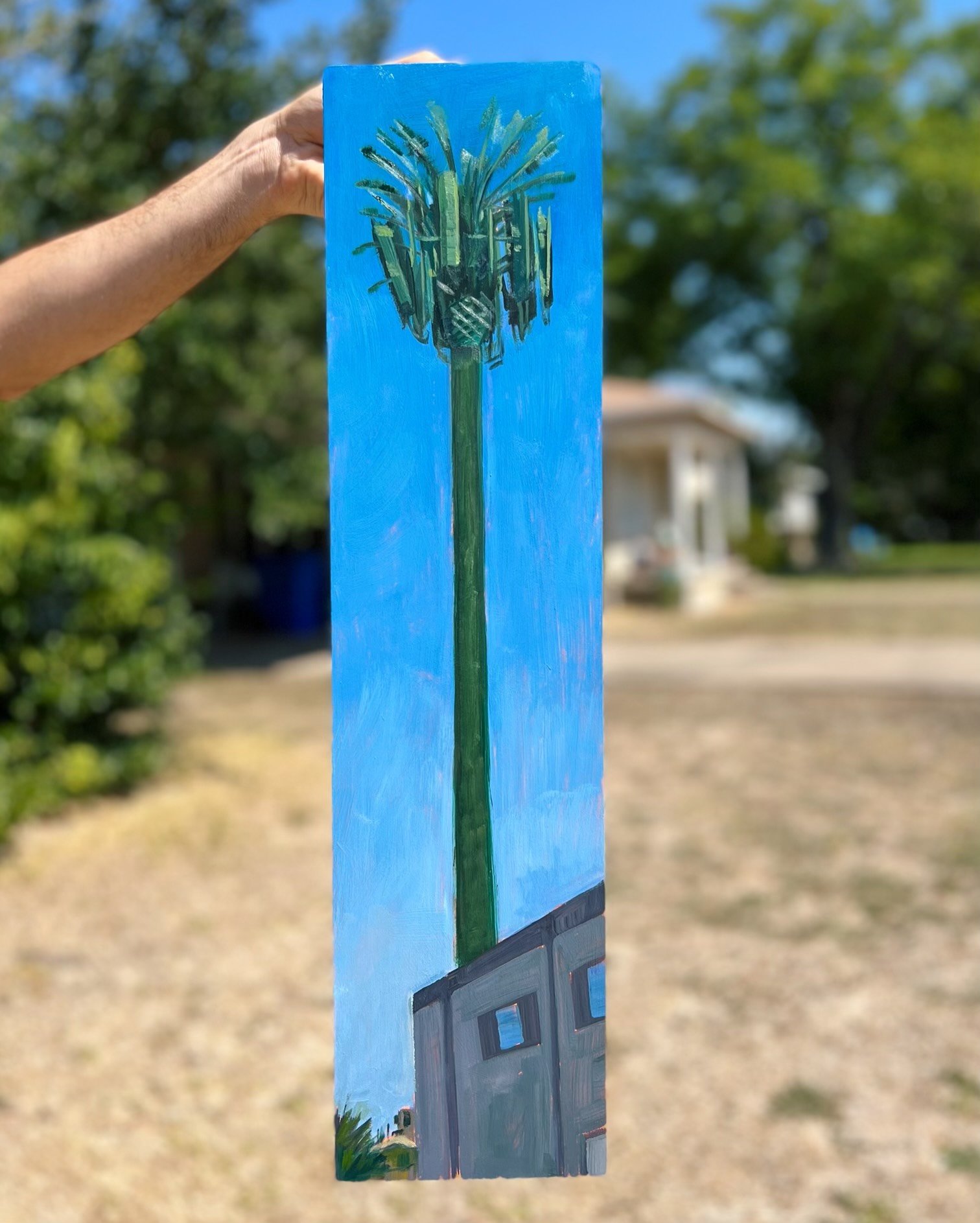 Palm Tree Monopole — Not Sorry Art