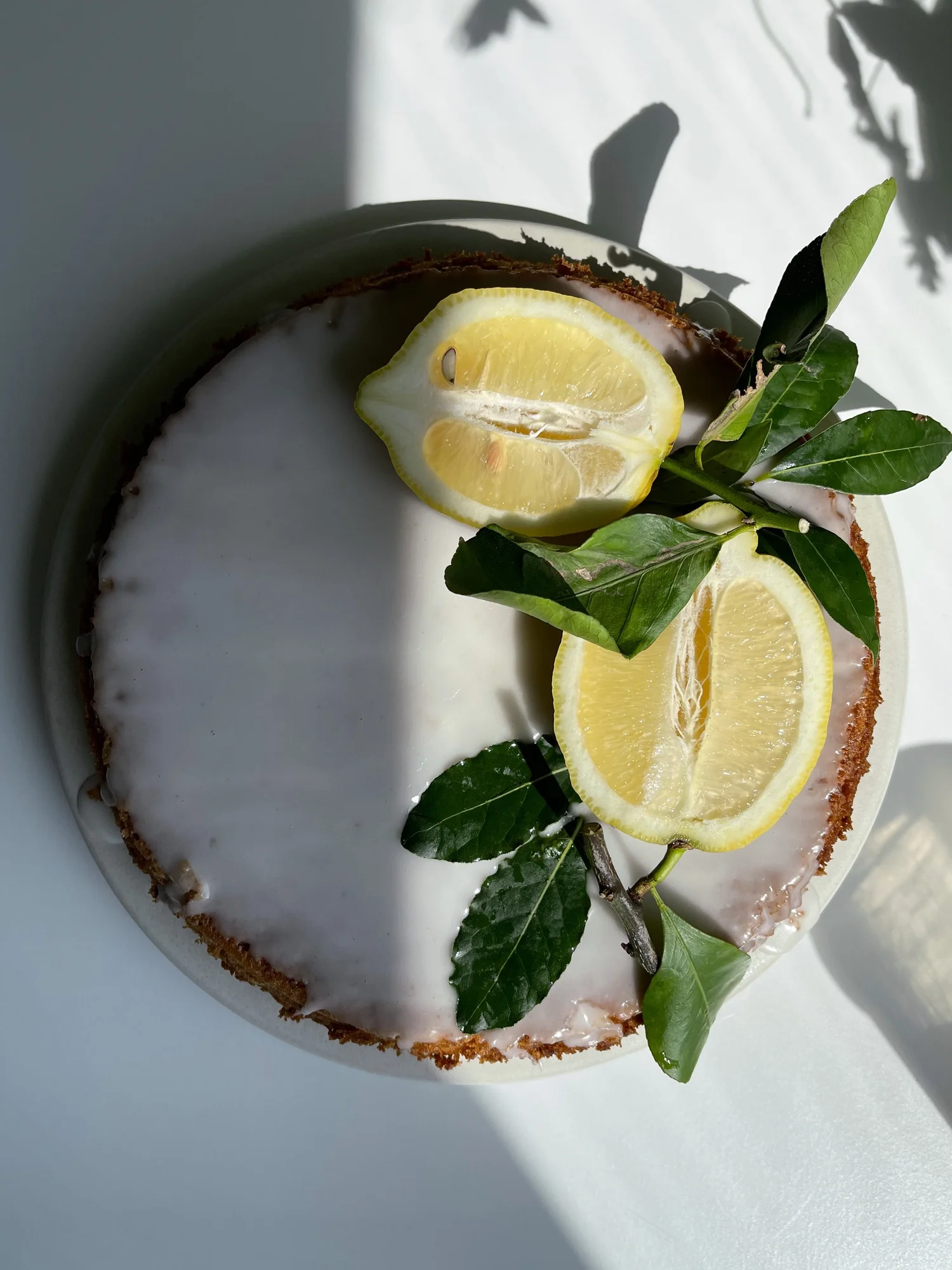 sirup house — Lemon ricotta cake
