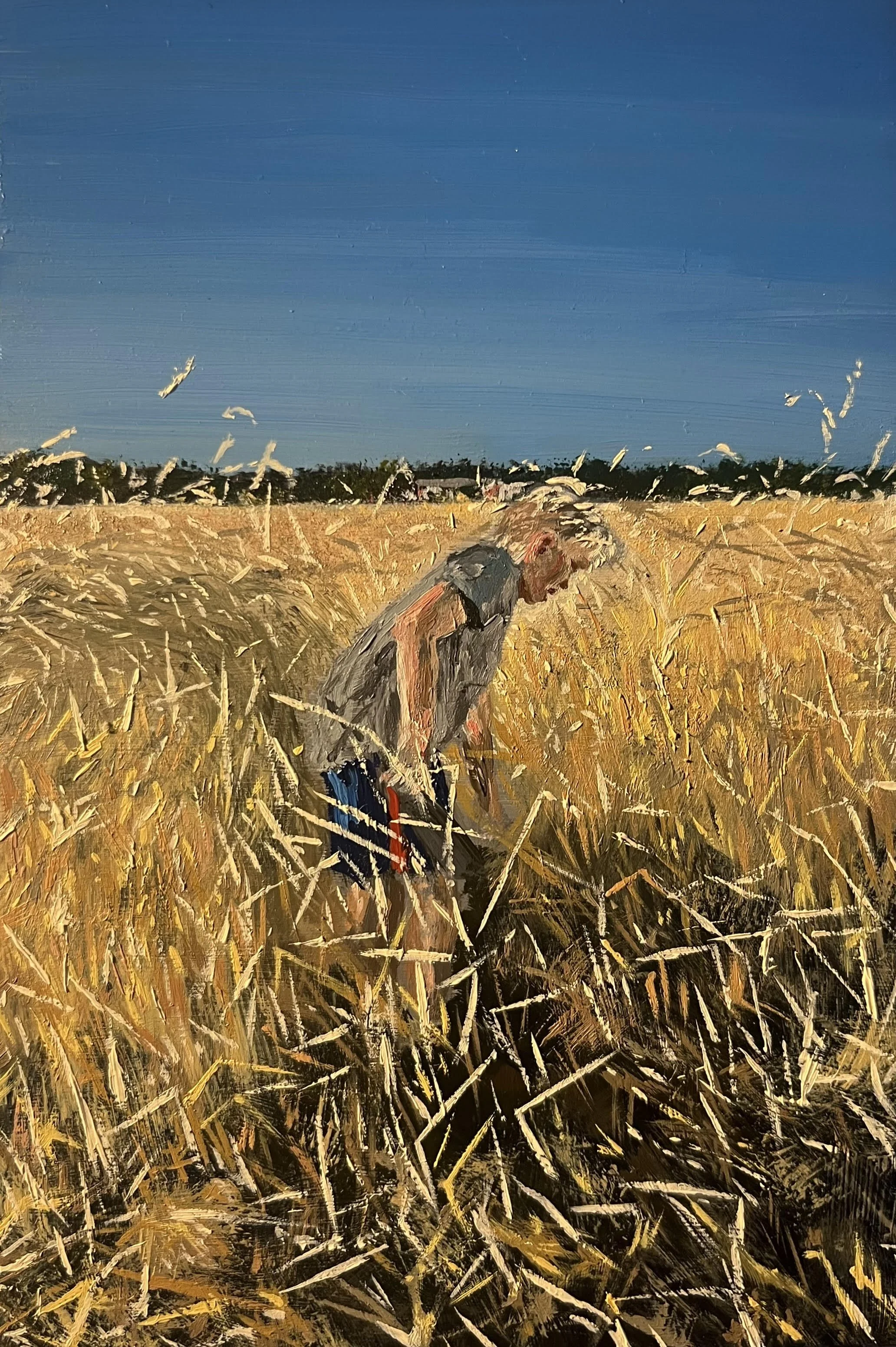 Carrie Lane Art