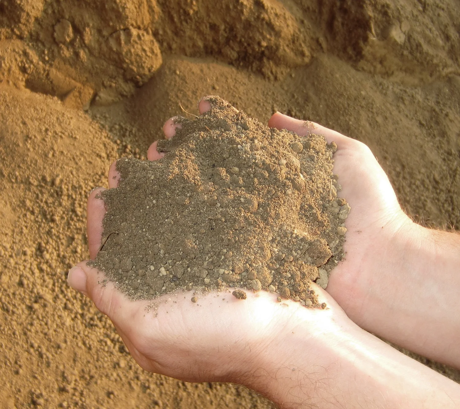 Screened Topsoil Kidron — Woodland Mulch