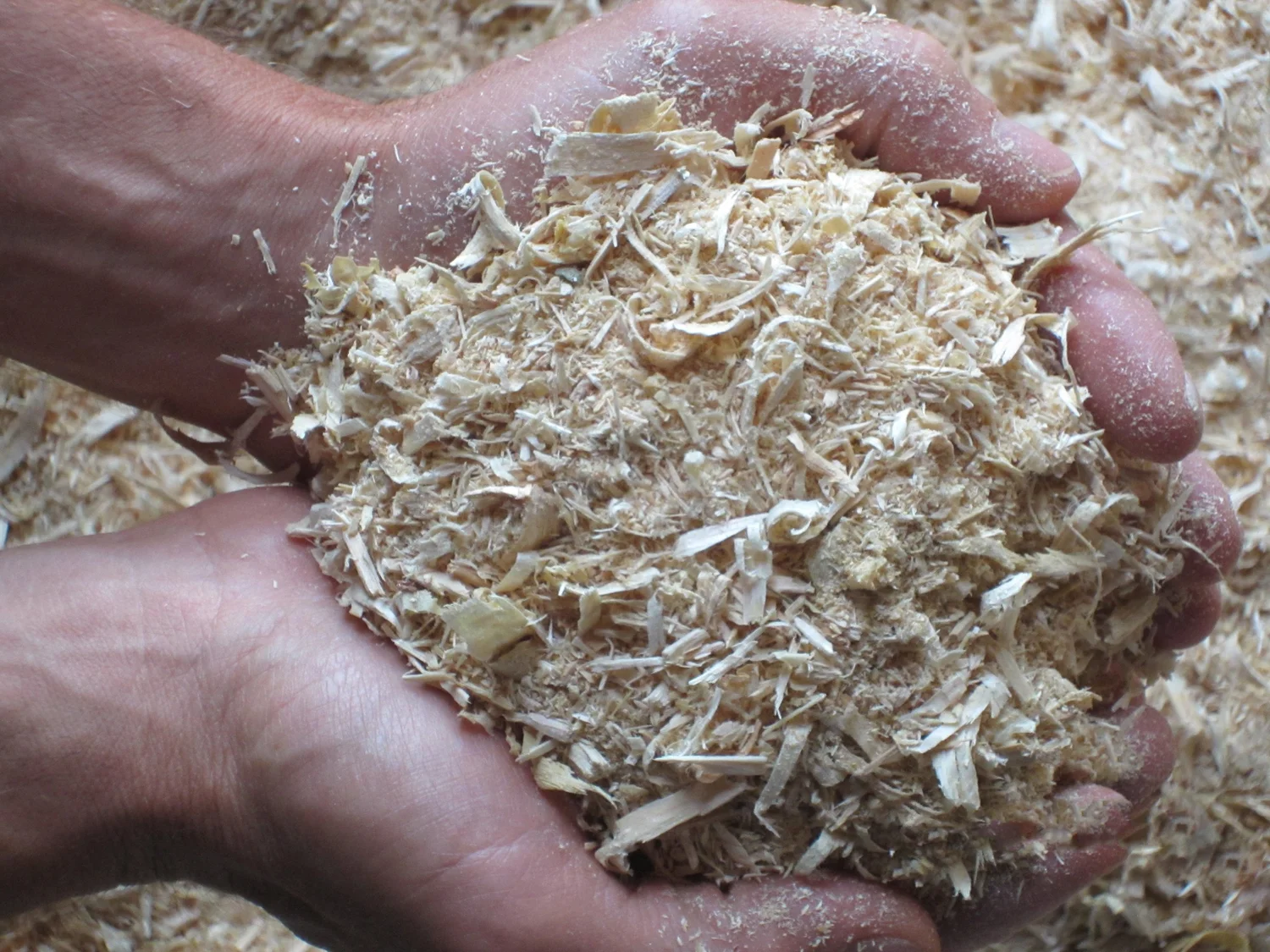 Animal Bedding W — Woodland Mulch