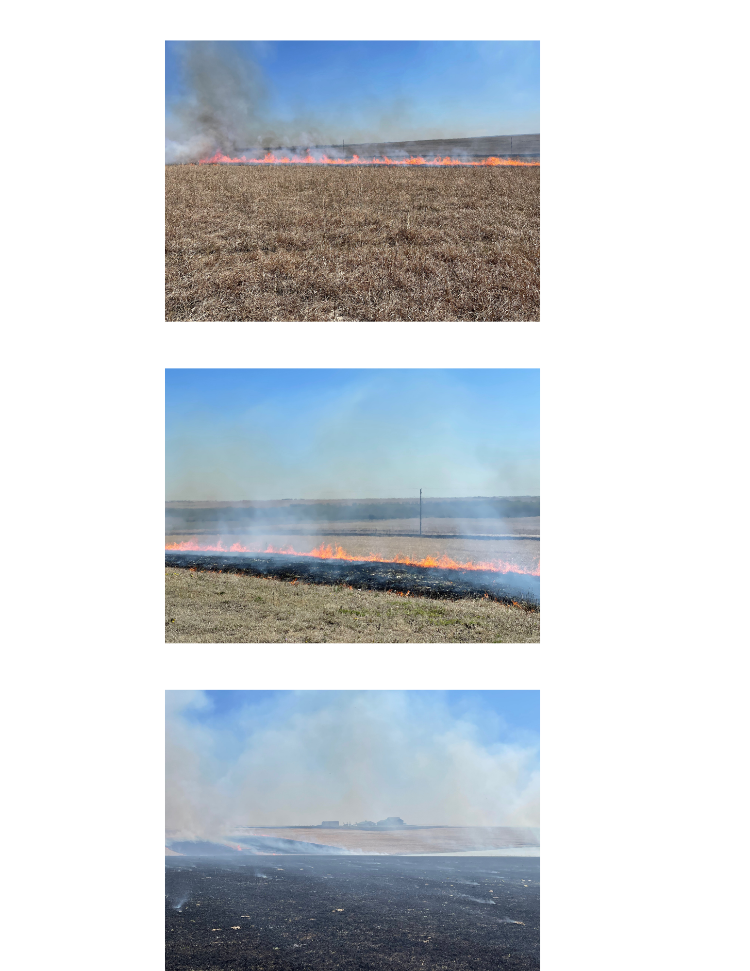 Burning Pastures — Ginger Rothhaas