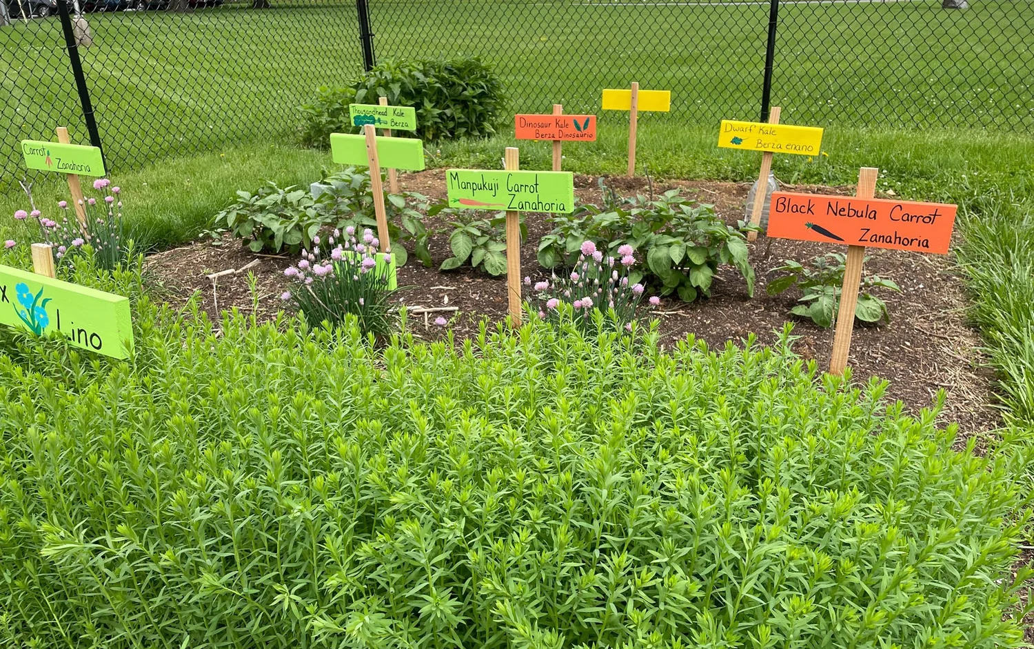 Garden Camp - Columbia — Edible Classroom