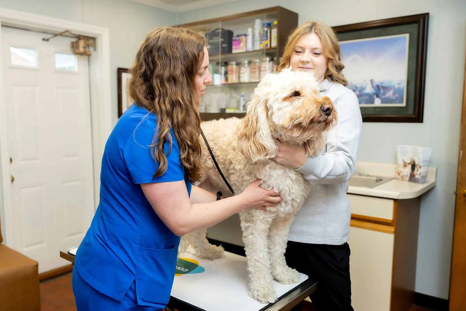Our Services — Fayette Veterinary Clinic