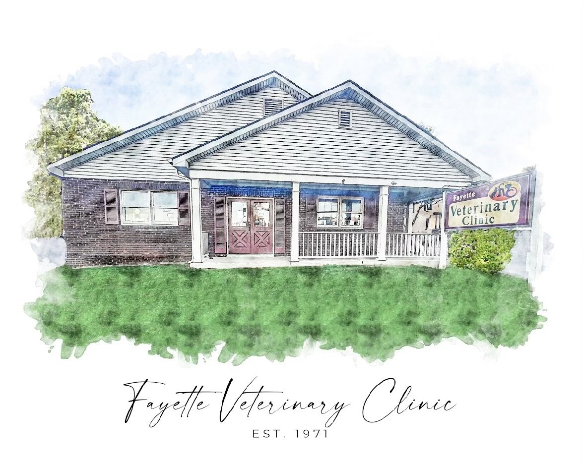 Our Practice — Fayette Veterinary Clinic