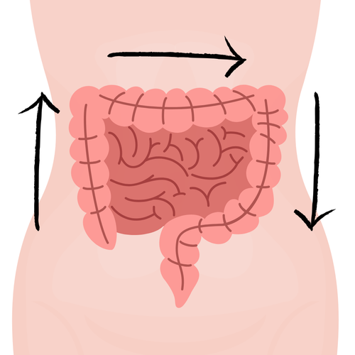 The Secret to Pooping Like a Pro: How Abdominal Massage Helps ...