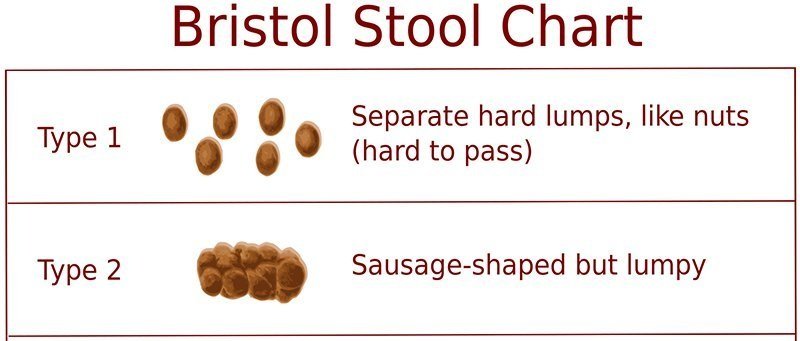 How to use 4 prokinetics to beat bloating and constipation — Coralie ...