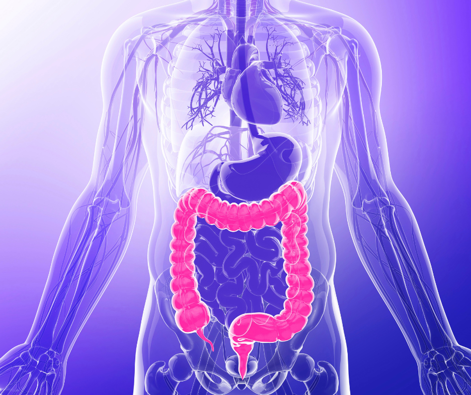 The Secret to Pooping Like a Pro: How Abdominal Massage Helps ...