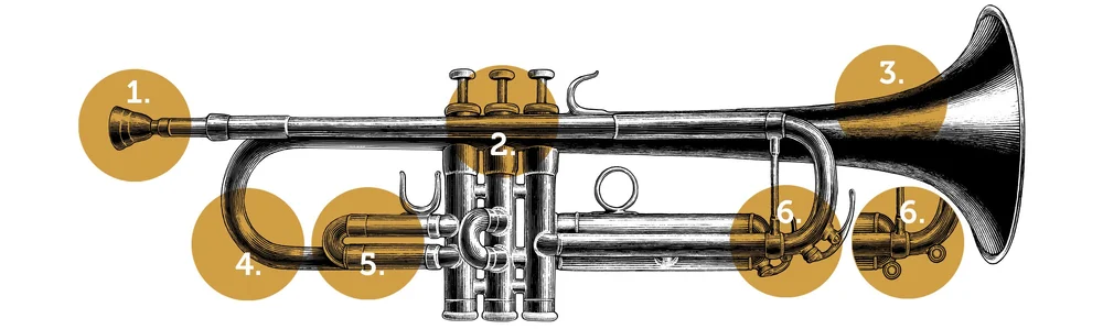 Healthy Horn | Maintain Your Horn Today — Brass Mavens