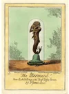 Feejee Mermaid — Coney Island USA