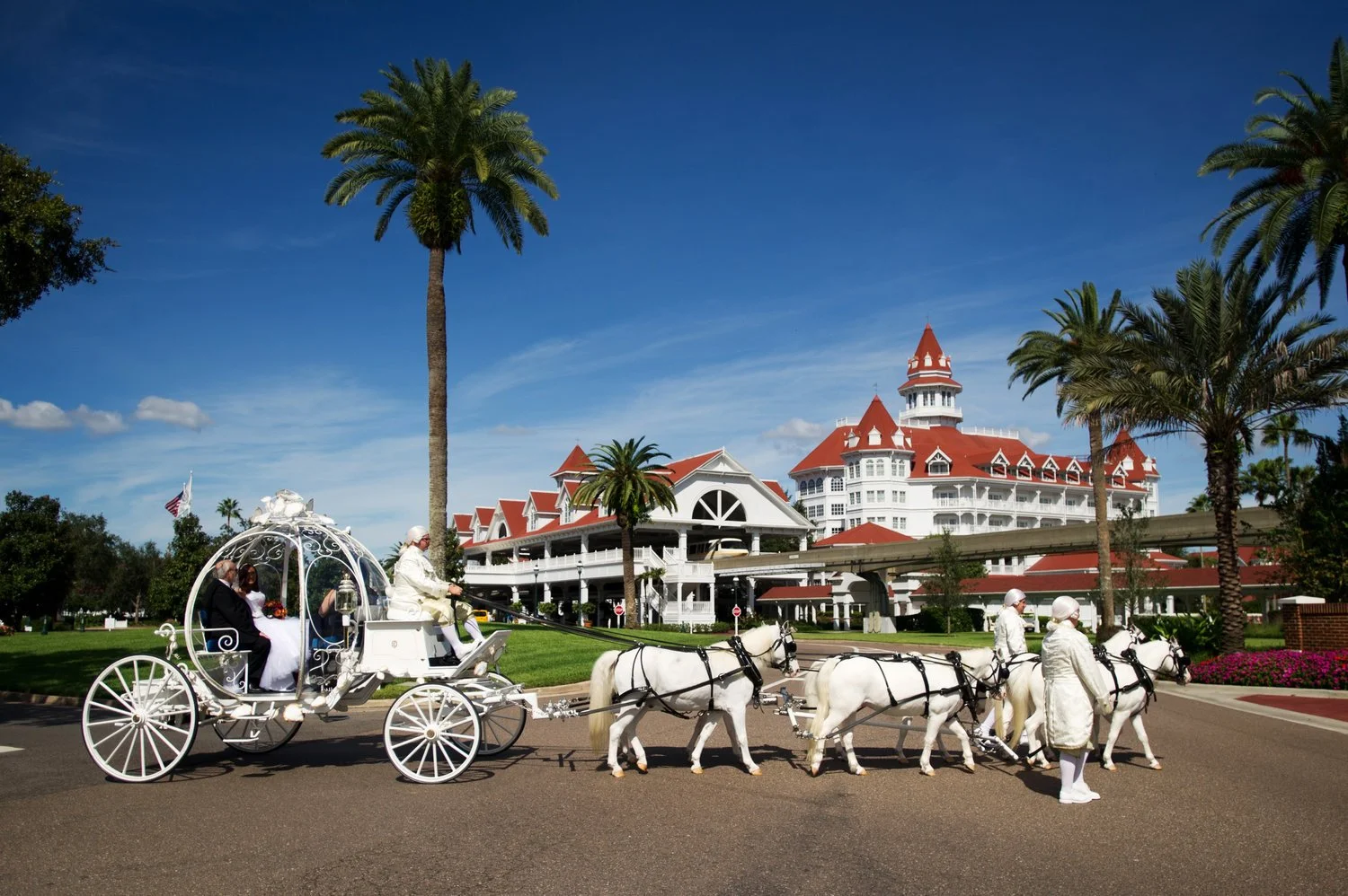 Mike Briggs Photography - Orlando Wedding Photographer