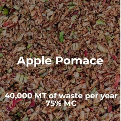 Fruit Pomace — ADAR Technologies