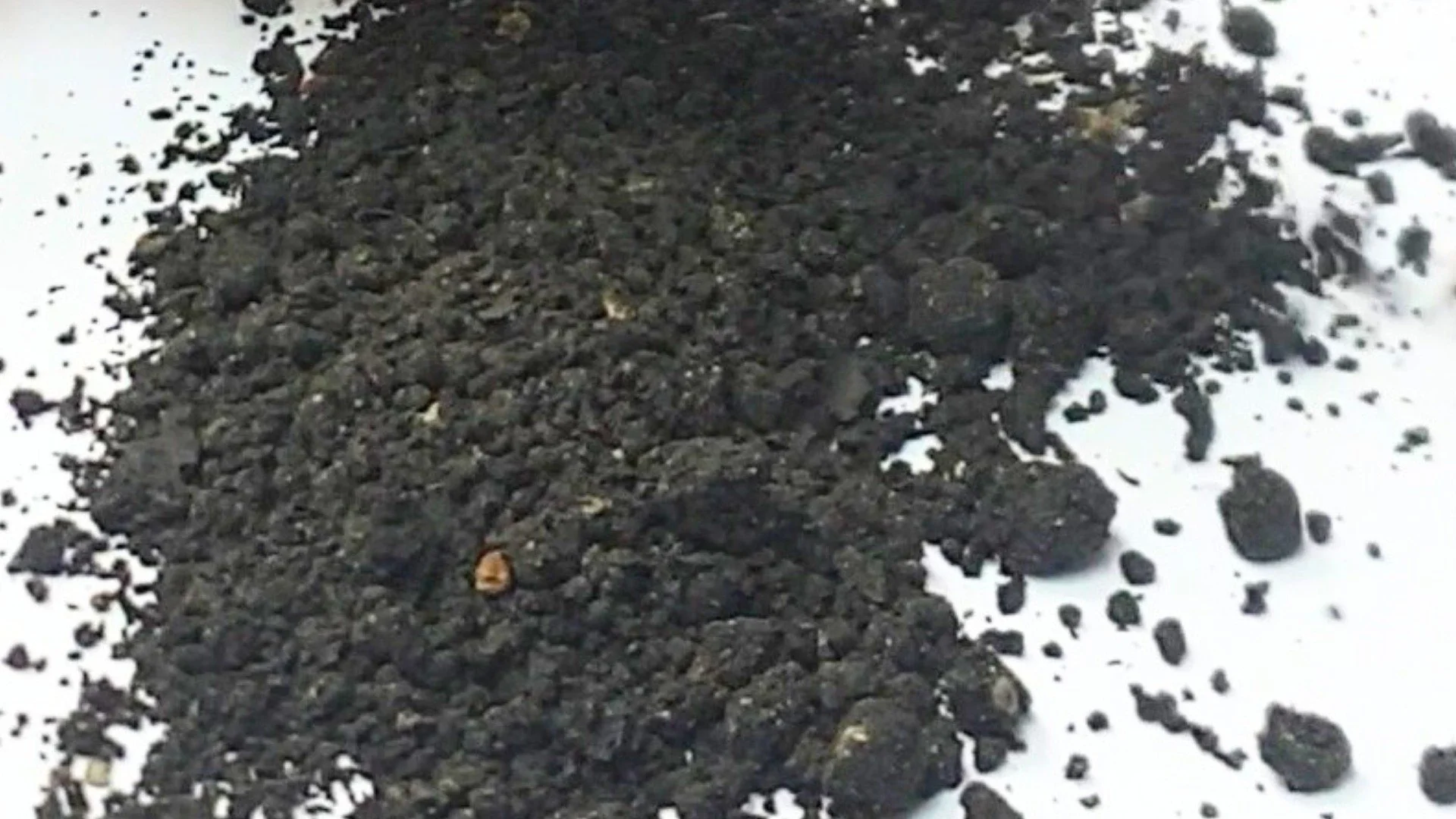 Revolutionizing Sustainable Waste Management