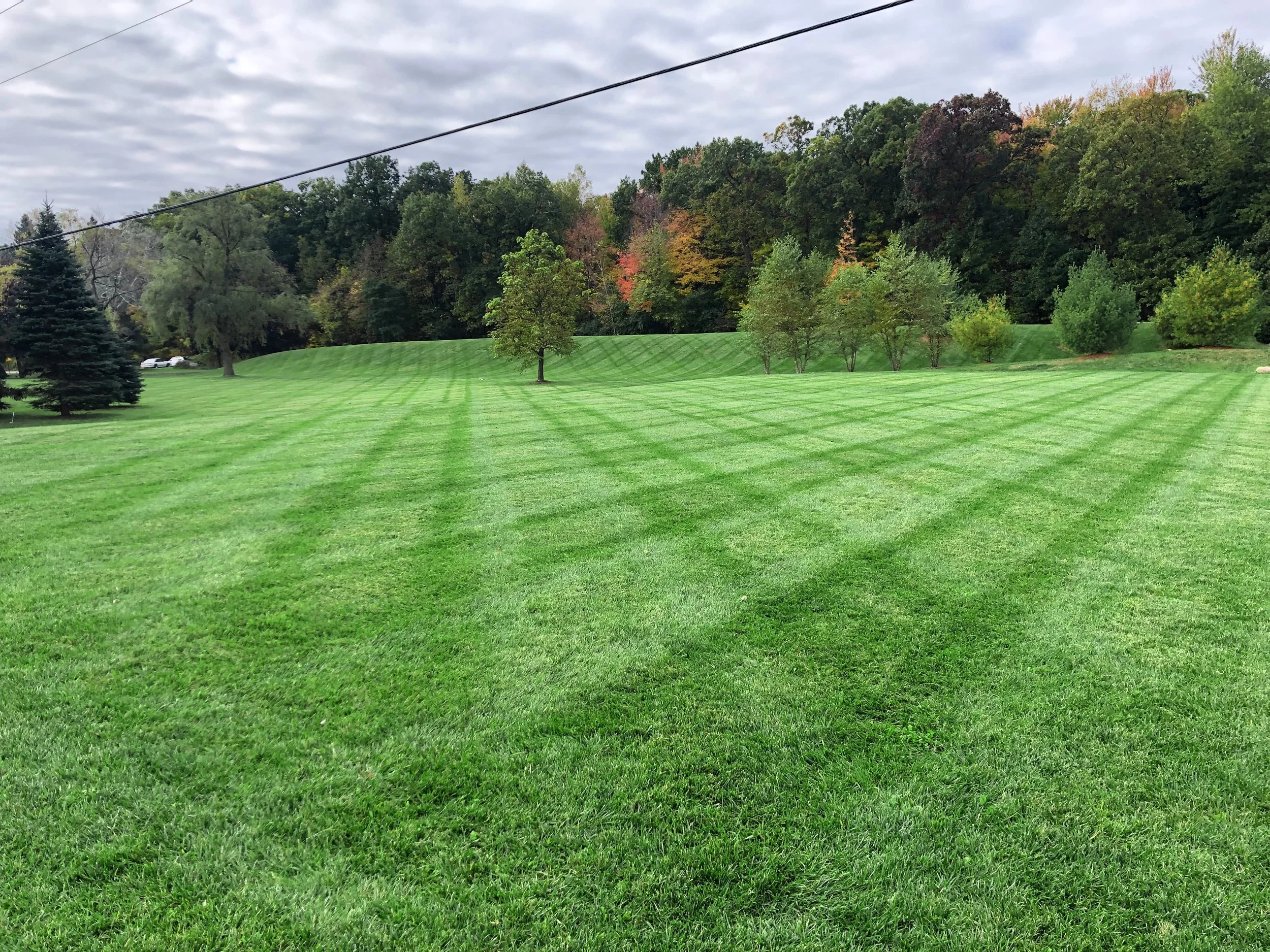Lawn Service, Landscapers Near Me in Ann Arbor, Scio, Lodi, Hamburg ...