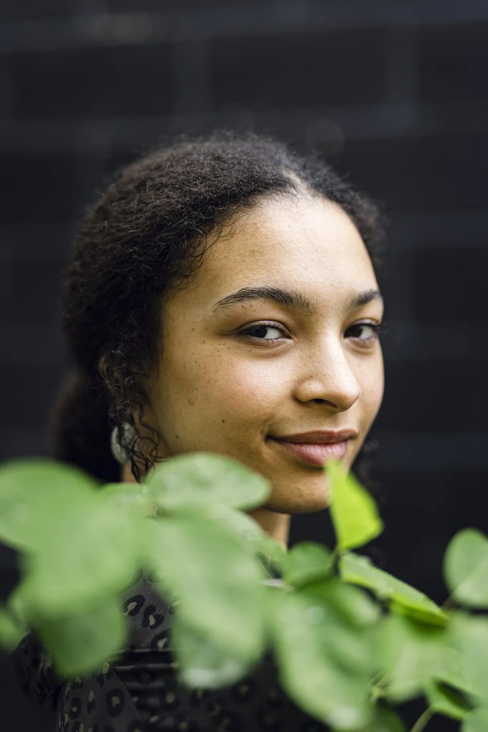 About — The Alluvion