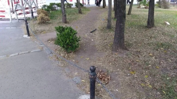 Desire Paths