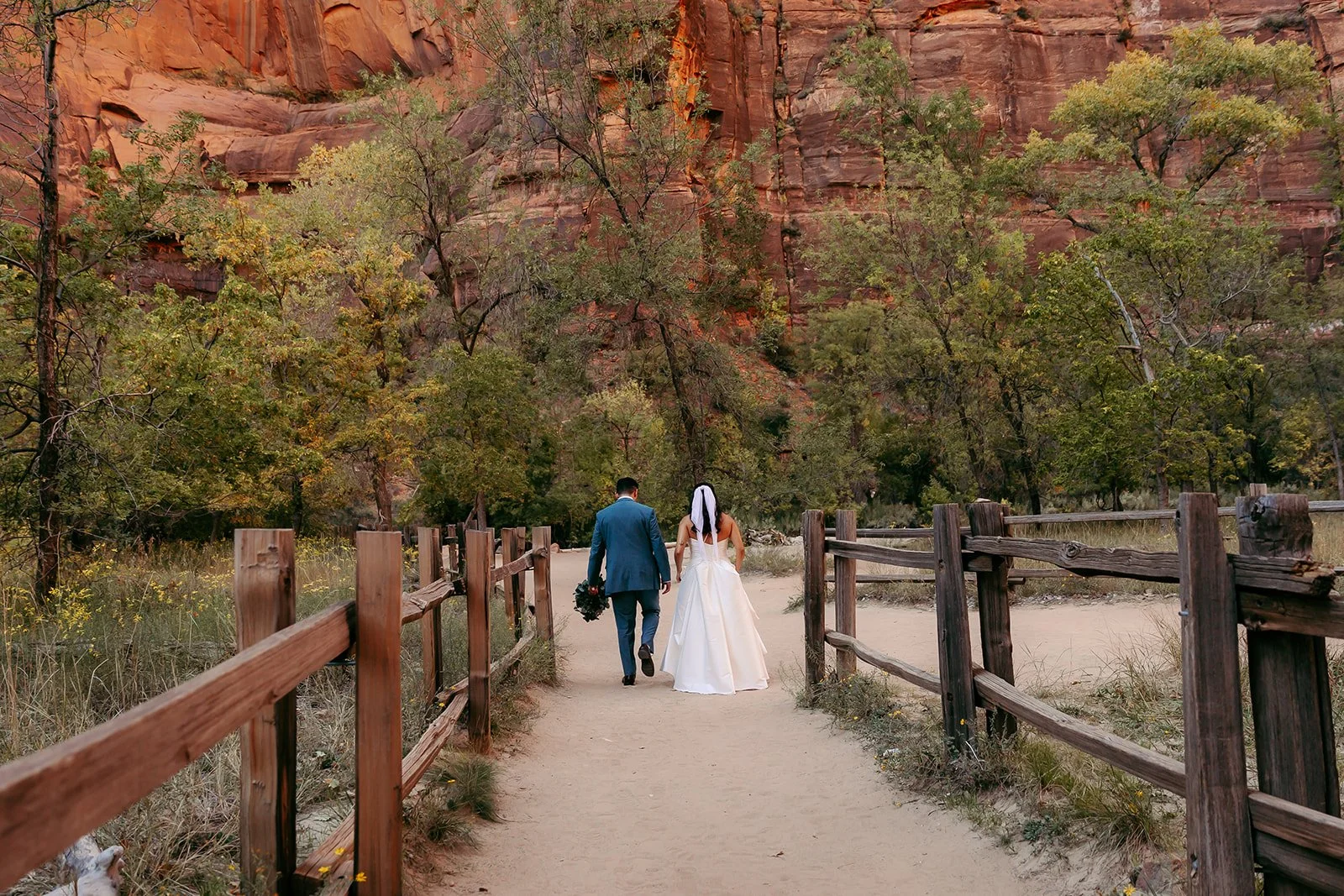 A Look into Allysa + Henry’s Fall Elopement in Zion National Park ...