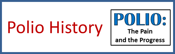 History — Polio Network