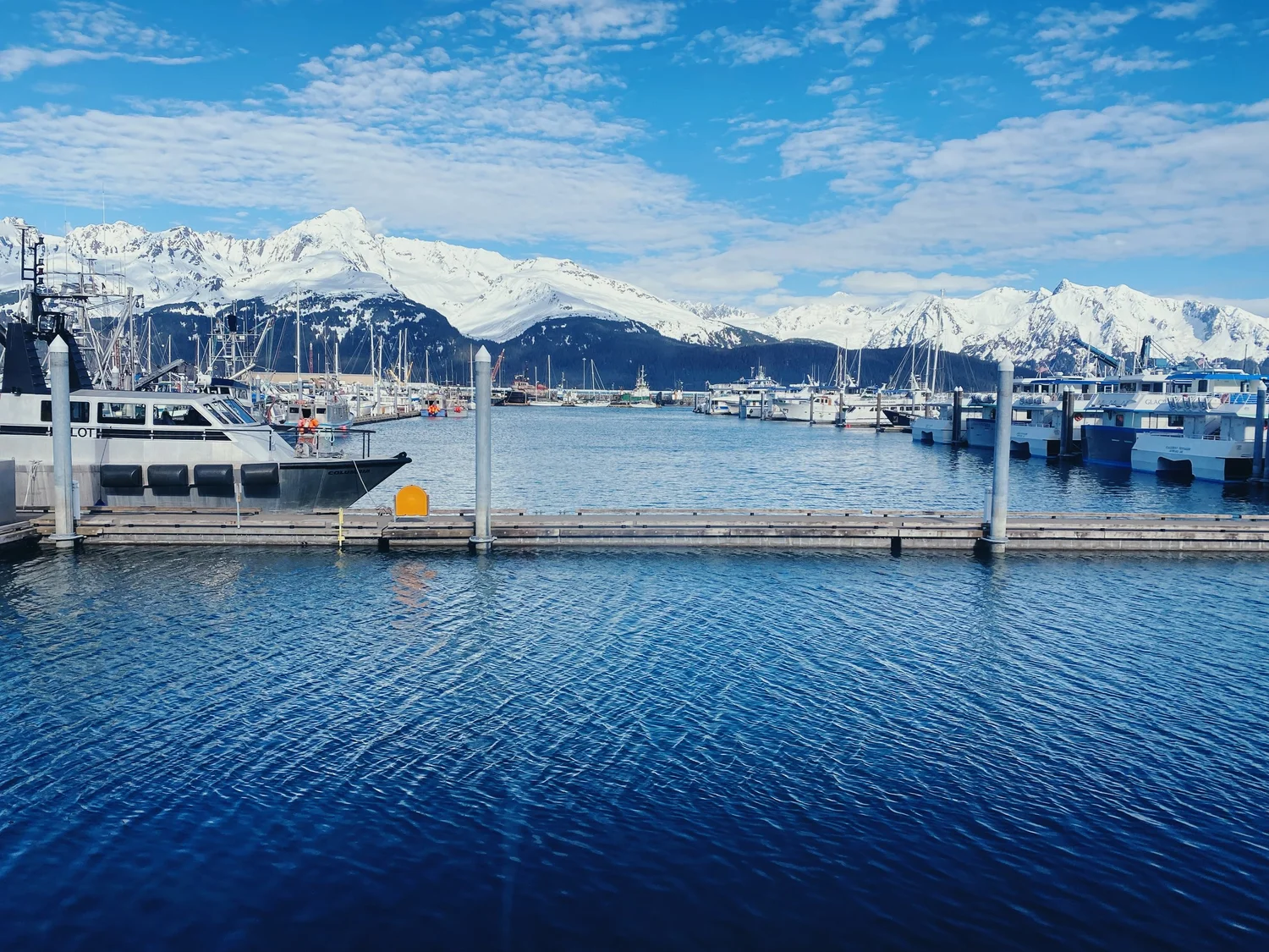 Ray's Waterfront - Seward, Alaska
