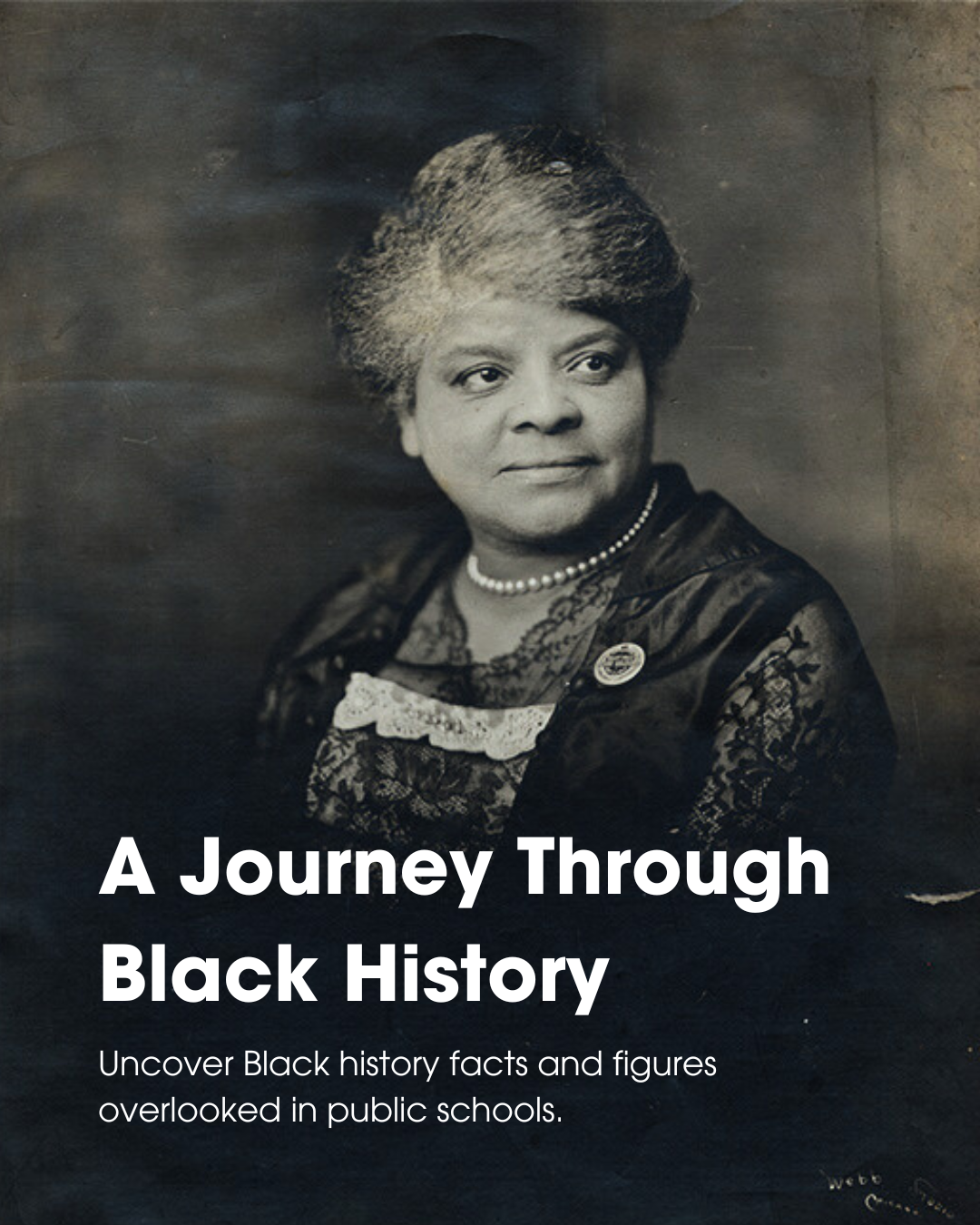 The Humanity Archive