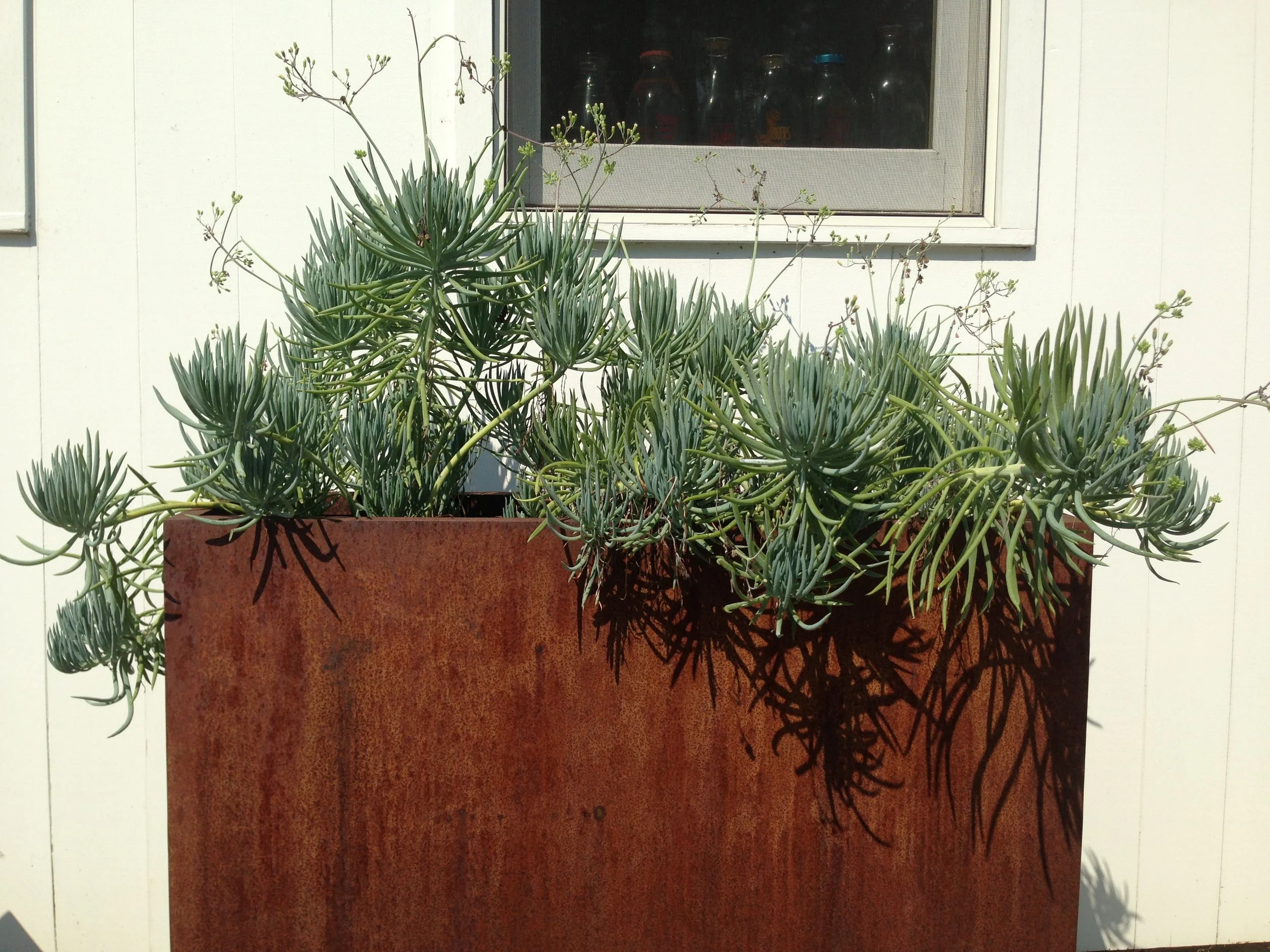 Containers — Lindquist Design Associates