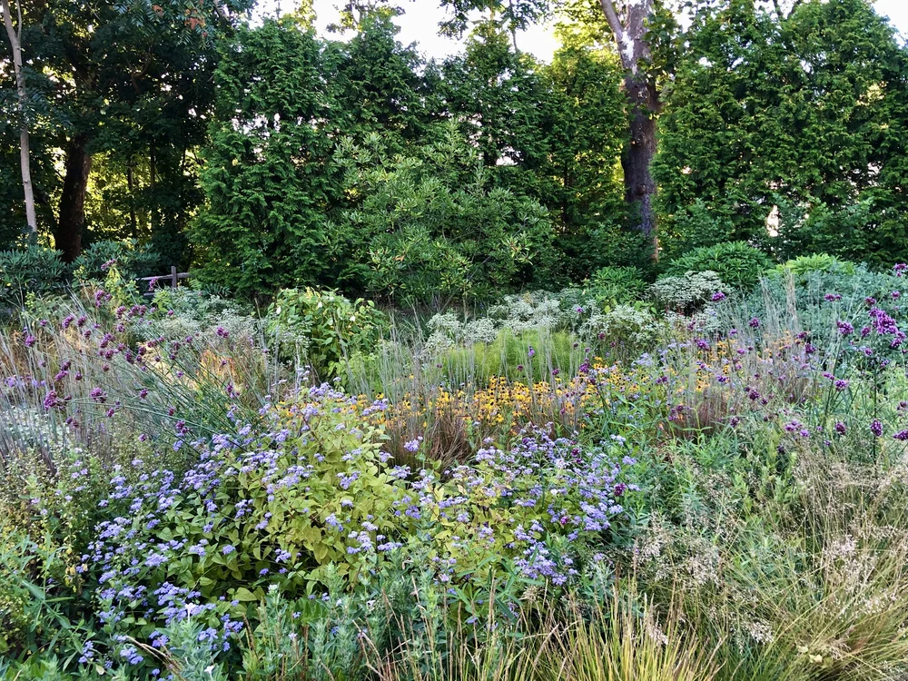 General 5 — Lindquist Design Associates