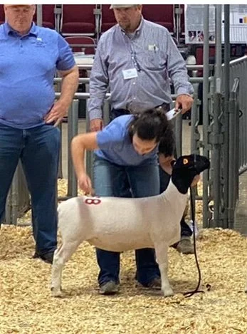 Breeding Stock — Fall River Ranch