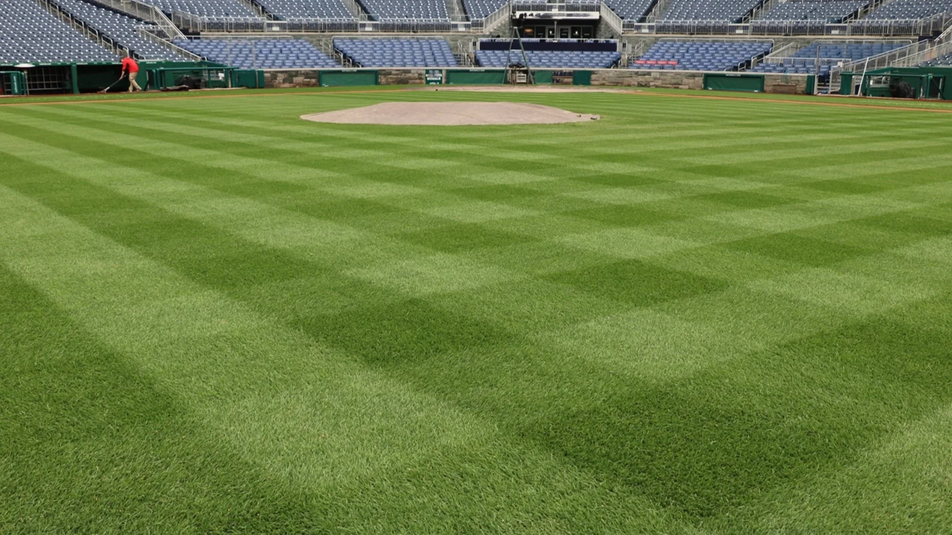 What Makes DreamLawn Different? — DreamLawn