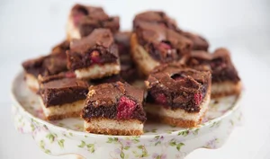 Chocolate, Coconut and Raspberry Slice — Everyday Gourmet
