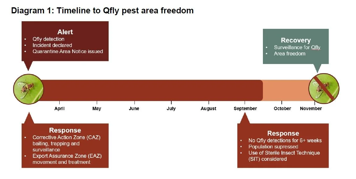 Qfly Bayswater Industry Update No 5, 12 September 2023 — Pomewest