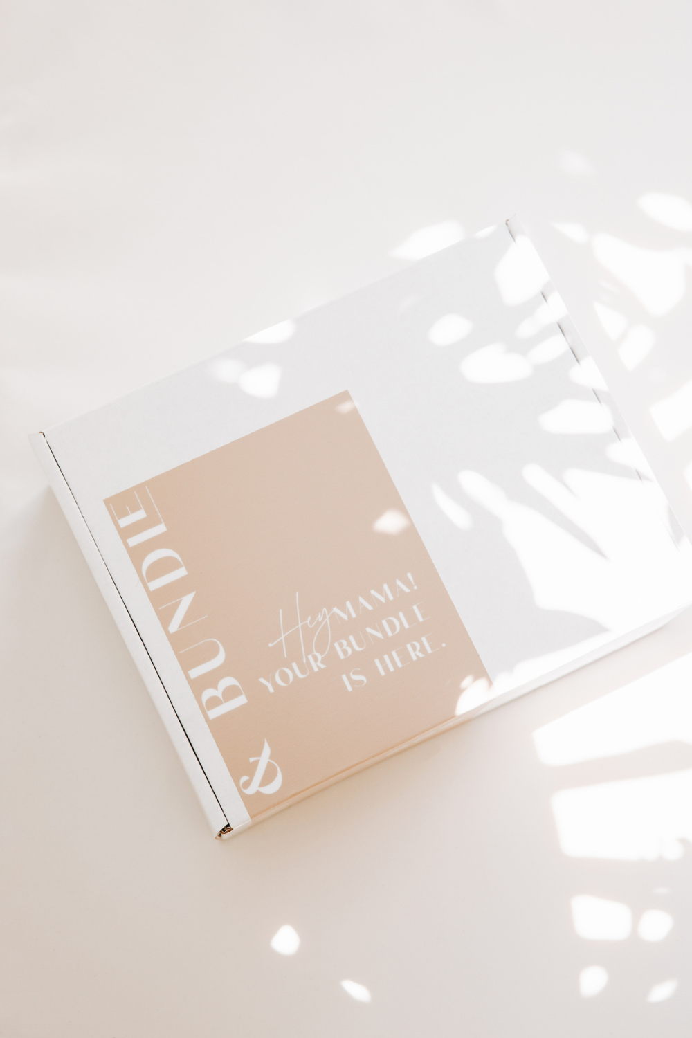 Coco & Bundle — Ally May Design Studio