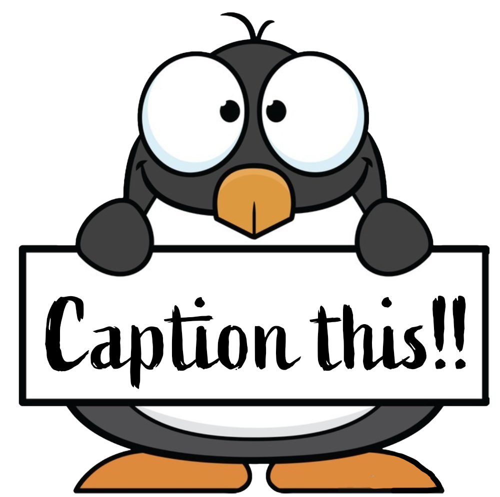 👏Captions at The Corner Cafe 👏 — The Chat Shack