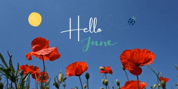 🌹🌻🌺 June Is Bursting Out All Over🌹🌻🌺 — The Chat Shack