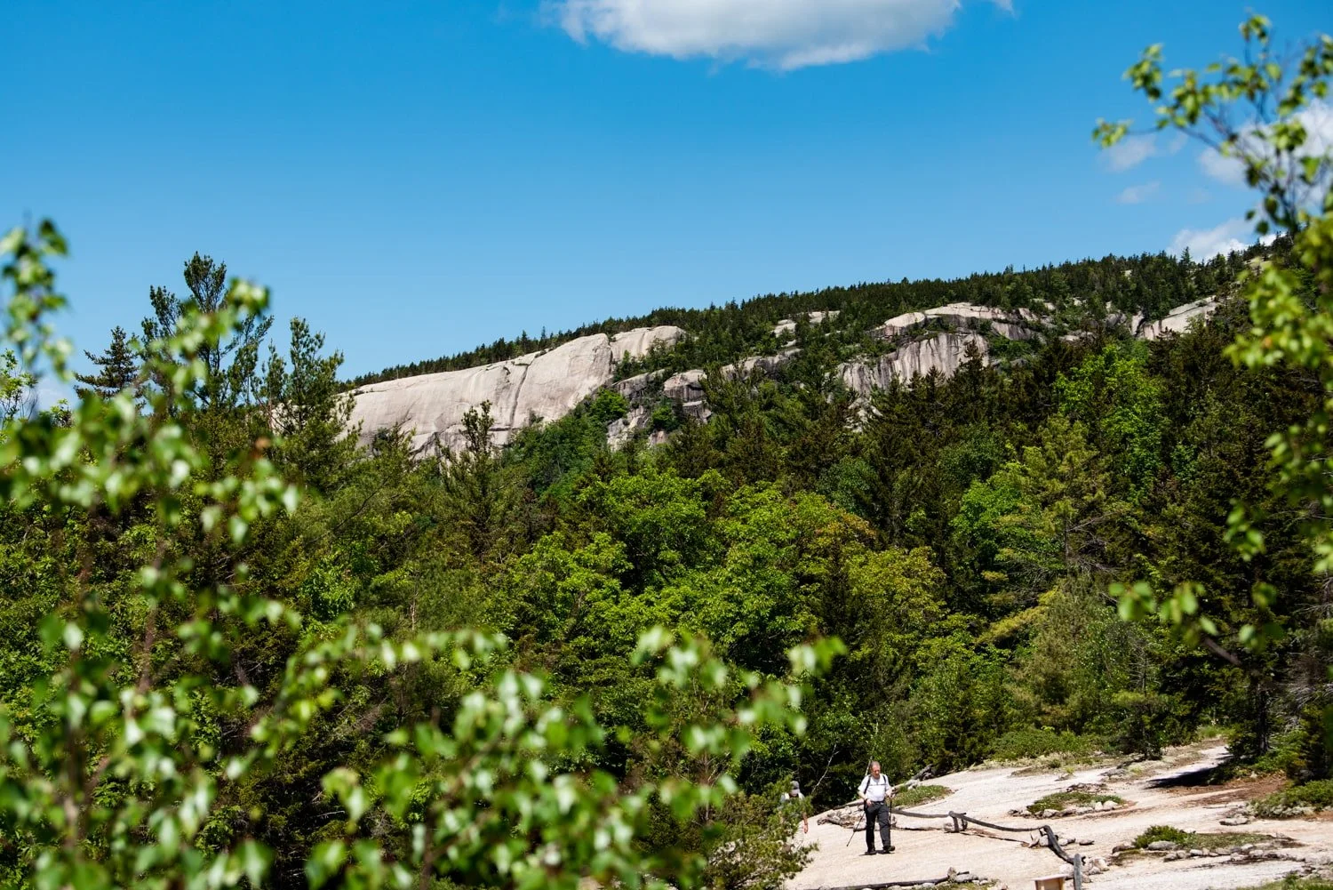 Welch-Dickey Loop — Waterville Valley Resort
