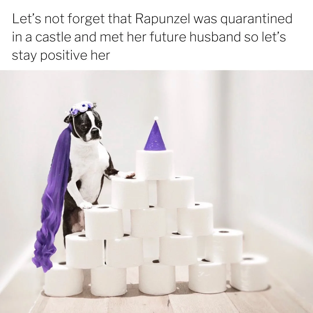 memes — Petite Pokey