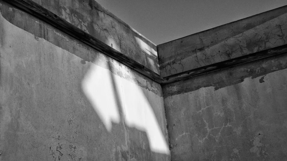 Deborah Jack: Intertidal Imaginaries — Houston Center for Photography