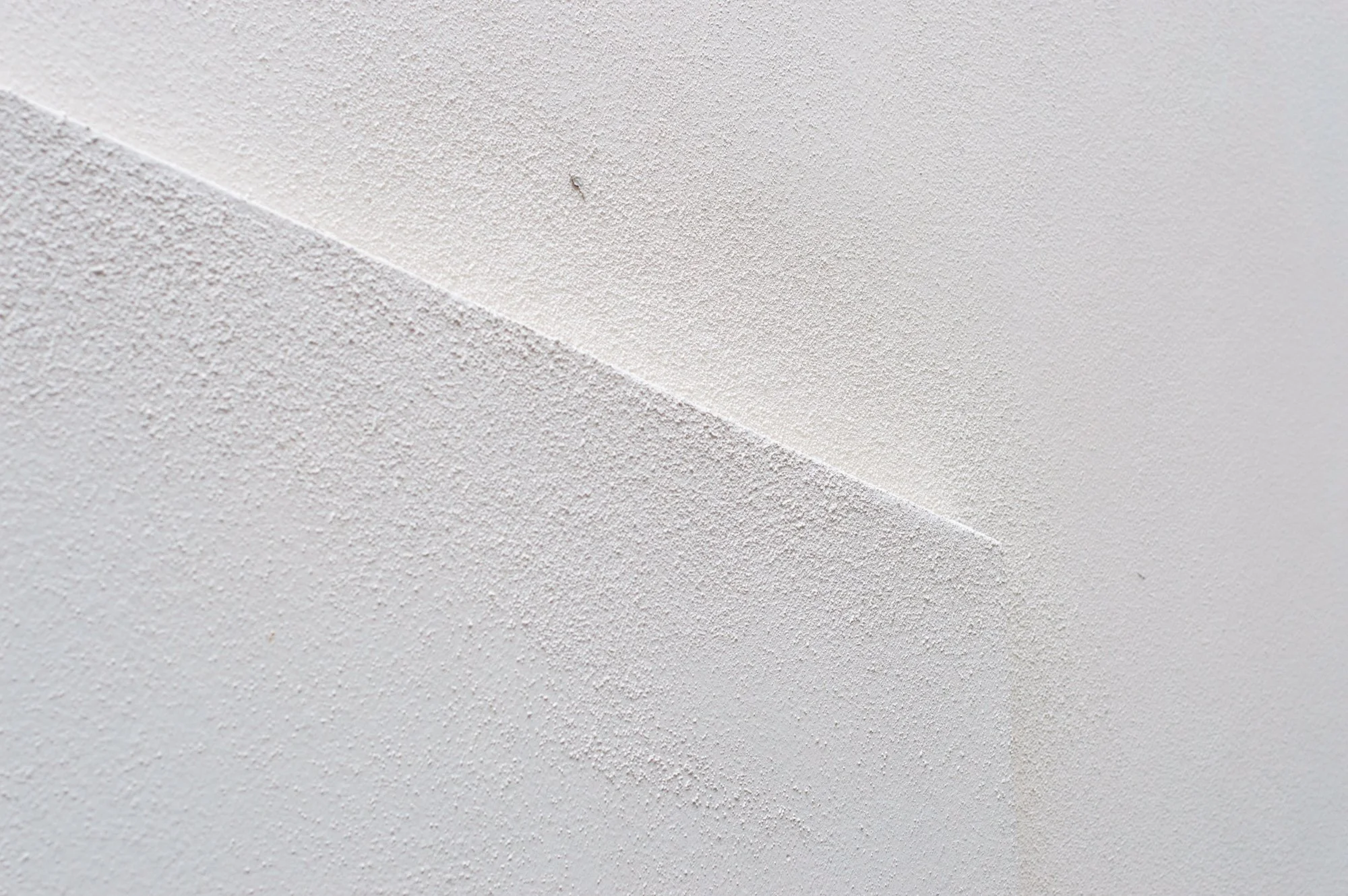 The Walter Hopps Zeitgeist Exhibition — Houston Center for Photography